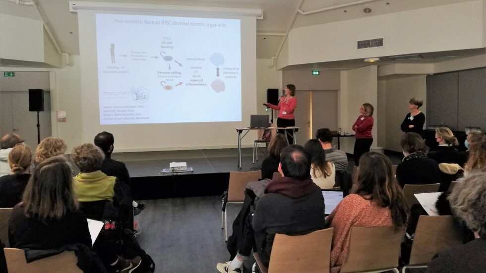 Epigenetics and Cell Fate | Université Paris Cité