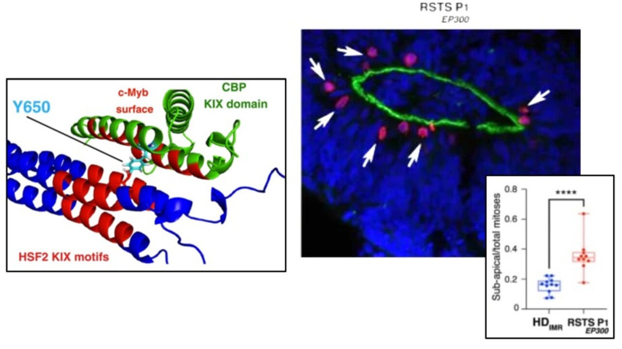 Félicitations à Aurélie De Thonel et l’équipe de Valérie Mezger pour ...