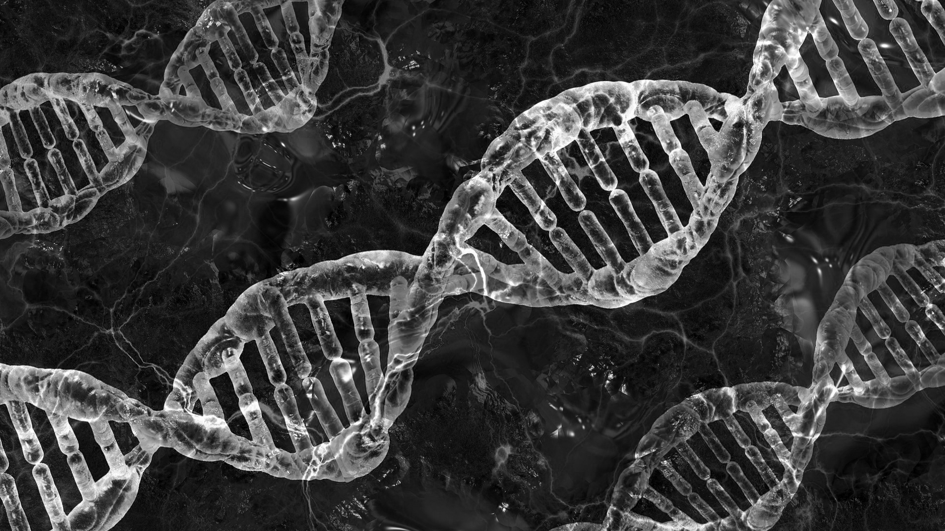 EpiG : Epigénomique fonctionnelle | Epigenetics and Cell Fate