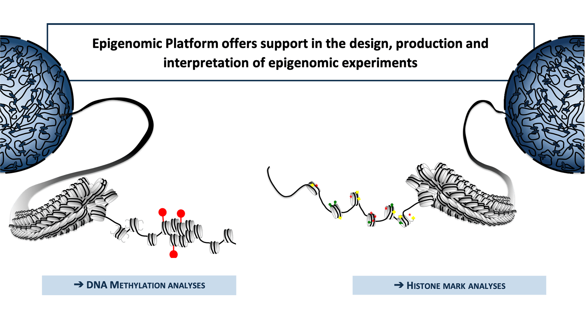 EpiG : Functional epigenomics | Epigenetics