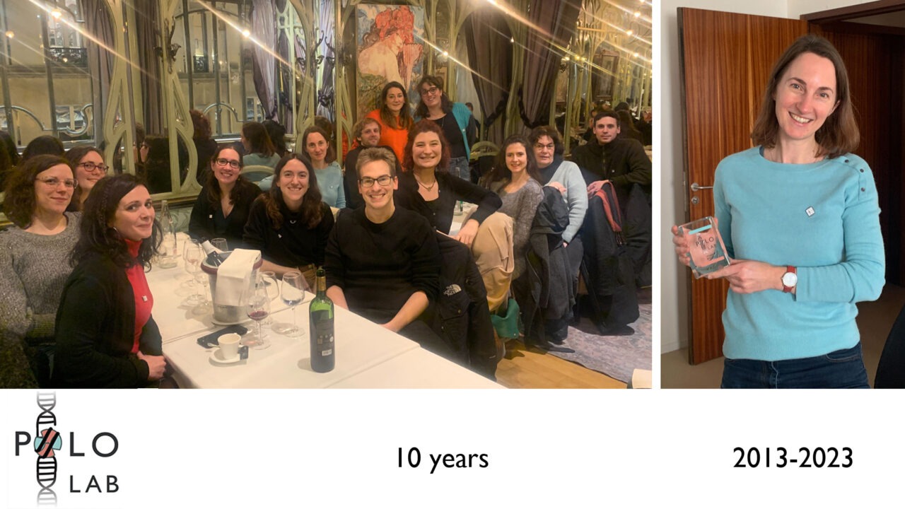 Celebrating the 10 years of the Polo group | Epigenetics