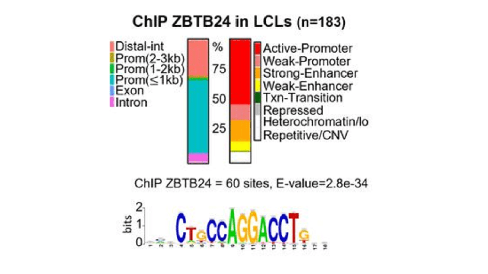New pre-print about ZBTB24 | Epigenetics