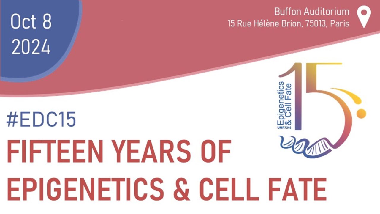 EDC15: Fifteen Years of Epigenetics and Cell Fate | Epigenetics